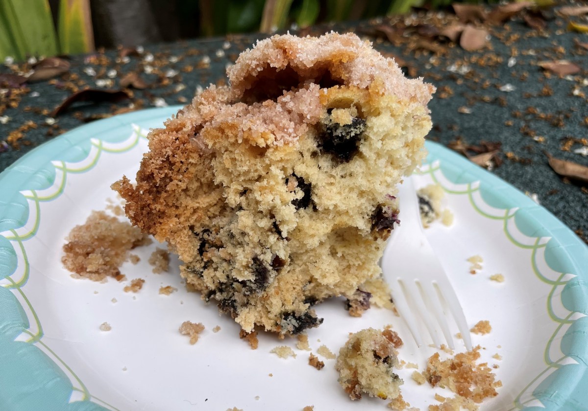 Blueberry Buckle Cake – Ugly Desserts