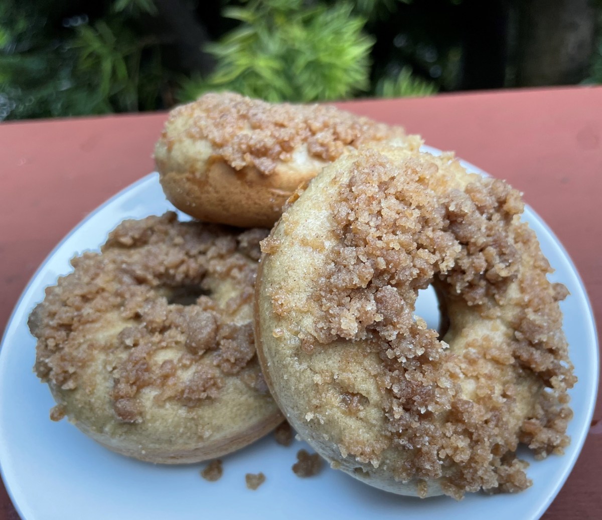 Baked Brown Sugar Streusel Donuts – Ugly Desserts