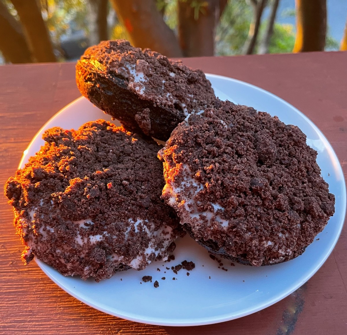 Baked Chocolate Donuts – Ugly Desserts
