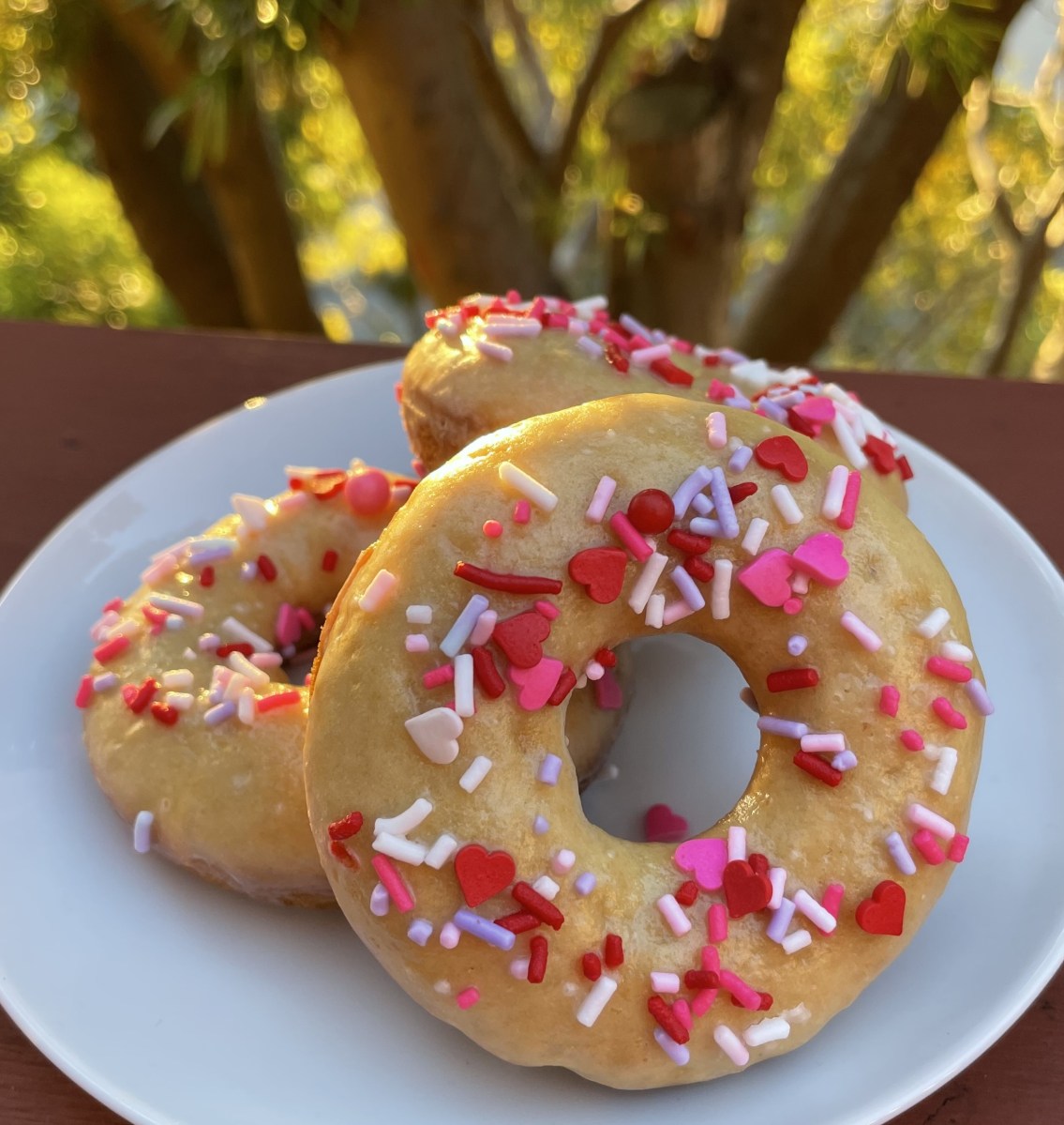 Baked Vanilla Donuts – Ugly Desserts